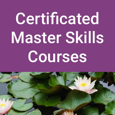 Master Skills Courses | The Soul Midwives Portal